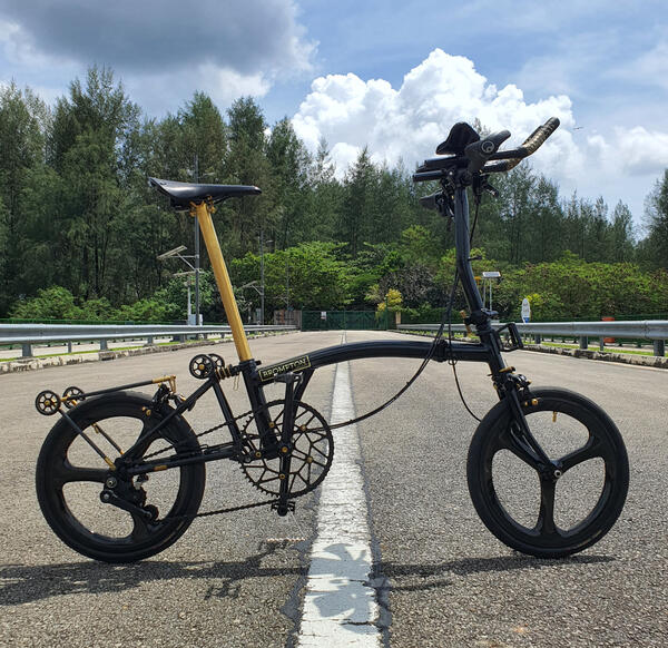 Frost's JBC Pro Team Issue - Singapore bicycle - Togoparts