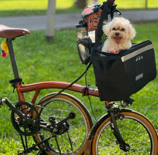 yancm2's 2008 Haro Xeon VL160 (DIY) - Singapore bicycle - Togoparts