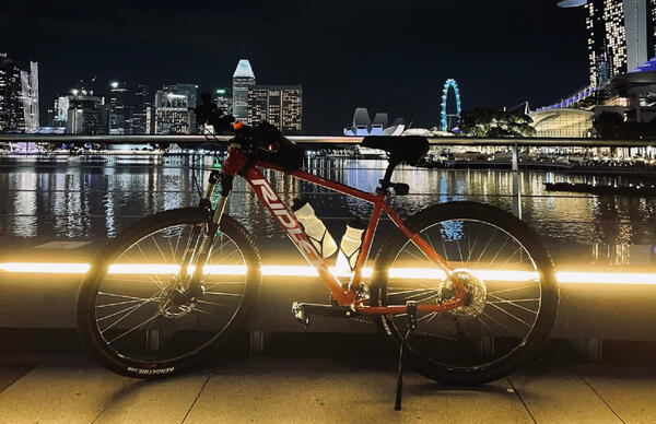 version79's Proflex 957 baby! - Singapore bicycle - Togoparts